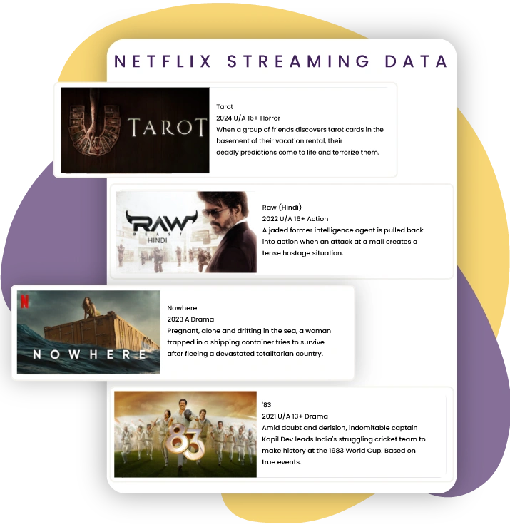 Netflix Data Scraping - Extract Streaming Data from Netflix